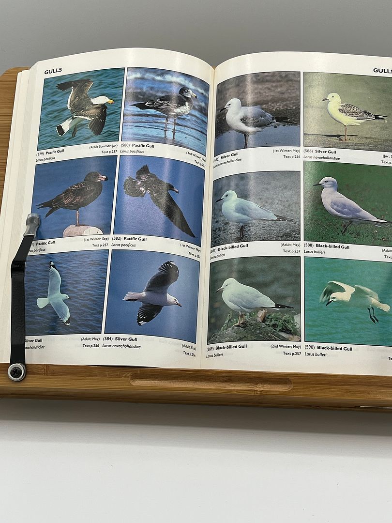 Seabirds of the World : A Photographic Guide